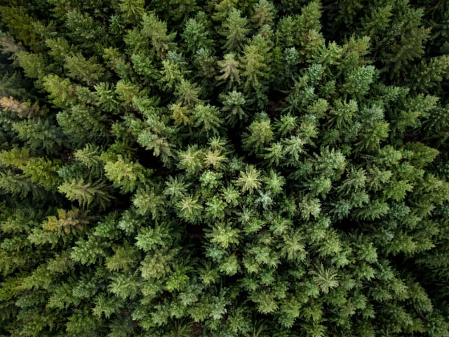 CALGreen Services & Inspections | Compliance Made Easy